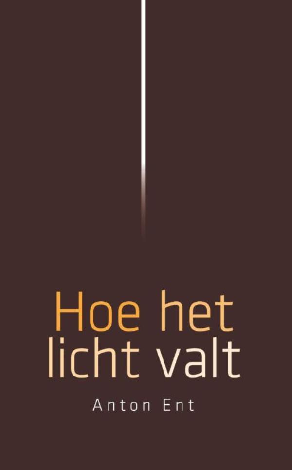 Hoe het licht valt - Anton Ent | Bibliotheek Bibliotheek Malle
